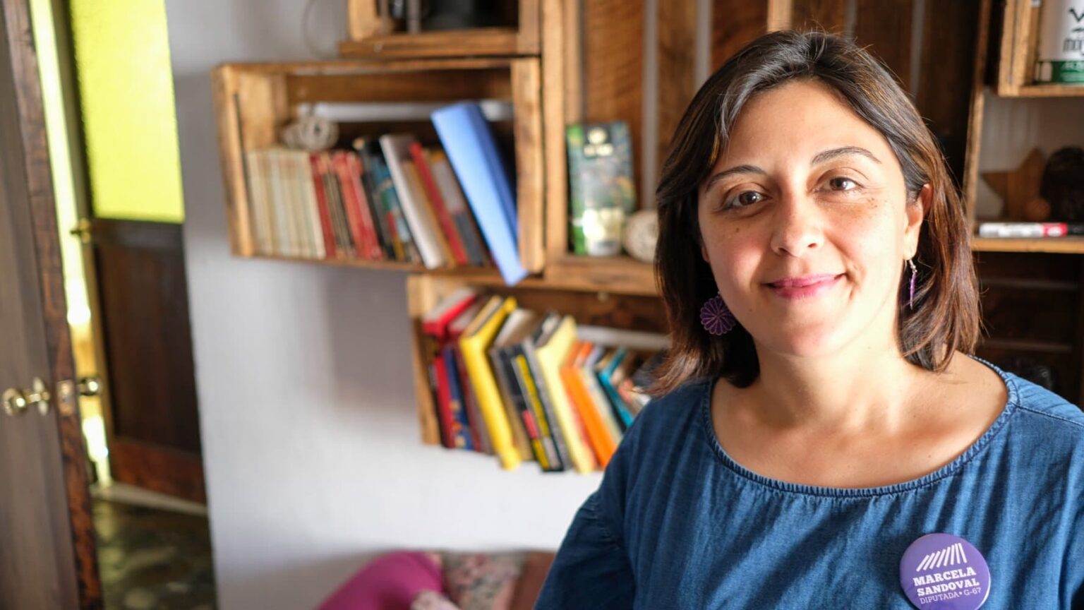 Marcela Sandoval: ¿quién es la militante RD que asumió en Bienes ...